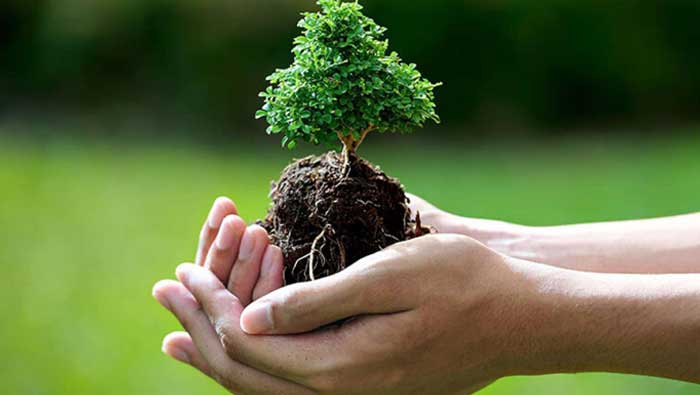 Let S Protect Our Environment Essay In Sinhala Sitedoct Let S Protect Our Environment Essay In Sinhala Sitedoct